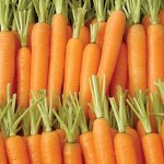 Carrots | Canterbury Creek Gardens